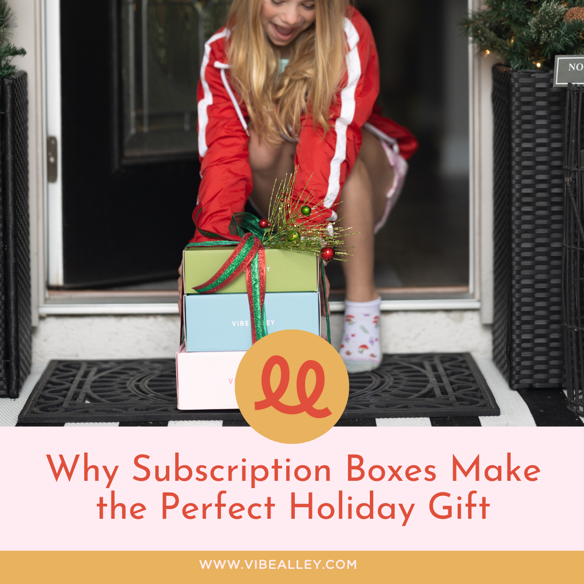 Why Subscription Boxes Make the Perfect Holiday Gift – Vibe Alley